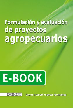 Formulación y evaluación de proyectos – Ecoe Ediciones México